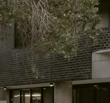 SRH Architecture — Commercial Architects Sydney